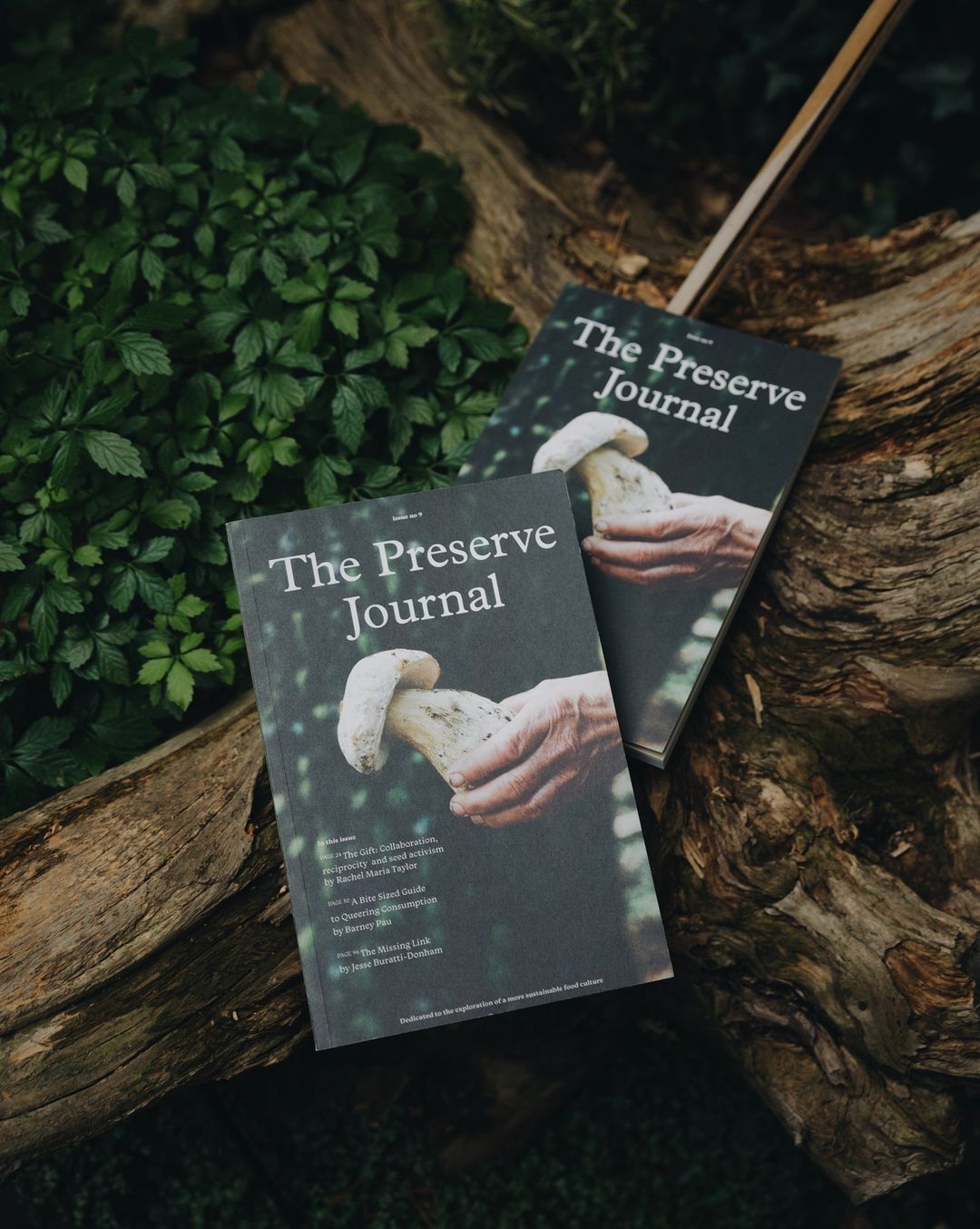 The Preserve Journal | Issue no.9 - In August Company